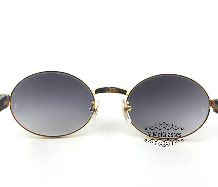 Cartier Buffalo Horn Full Frame Classic Sunglasses CT7550178-53 ...